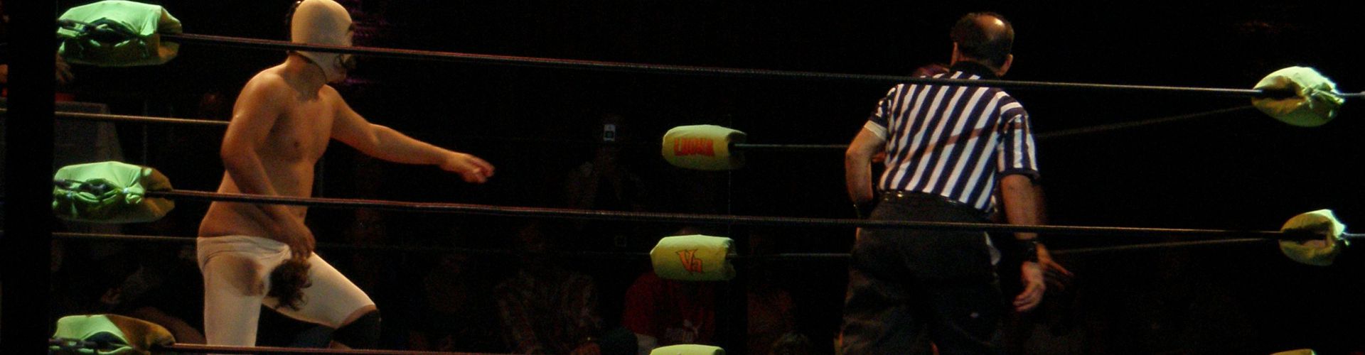 Lucha Vavoom Performing Arts Los Angeles Reviews Ellgeebe